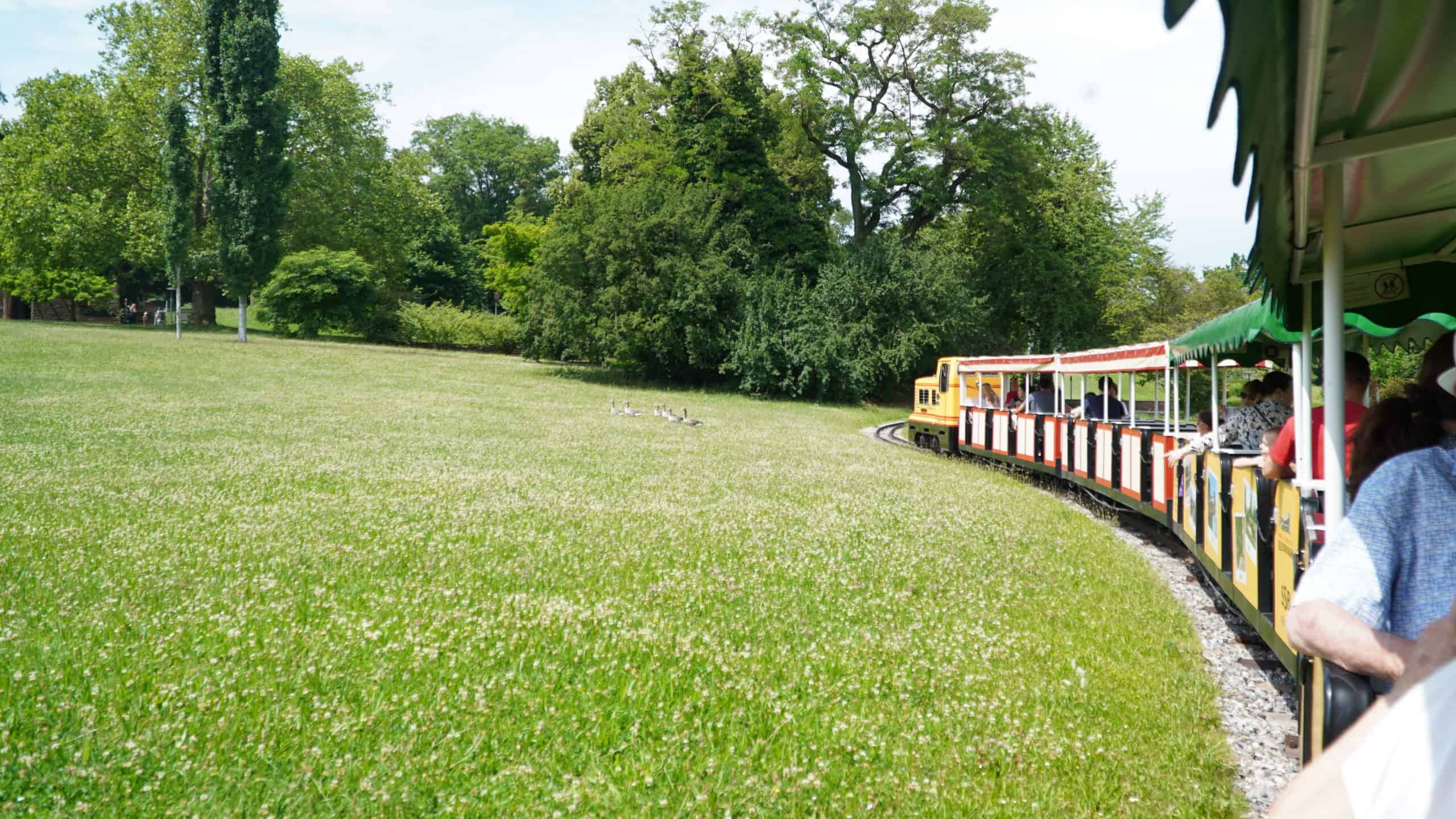 Ein Park für Familien - der Killesberg Stuttgart - Little Roamer
